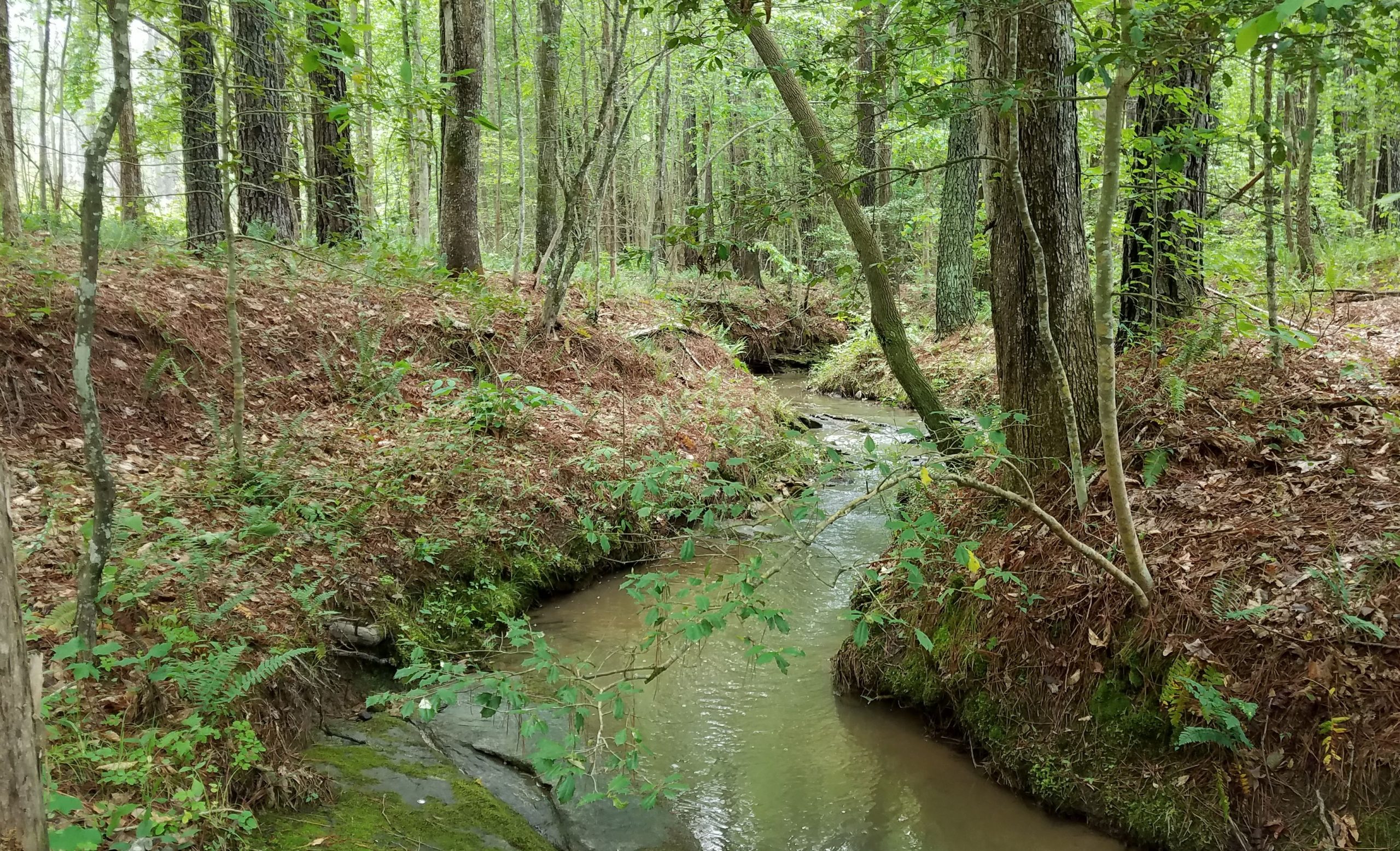 Brodnax in May 2020 – World-Wide Matel