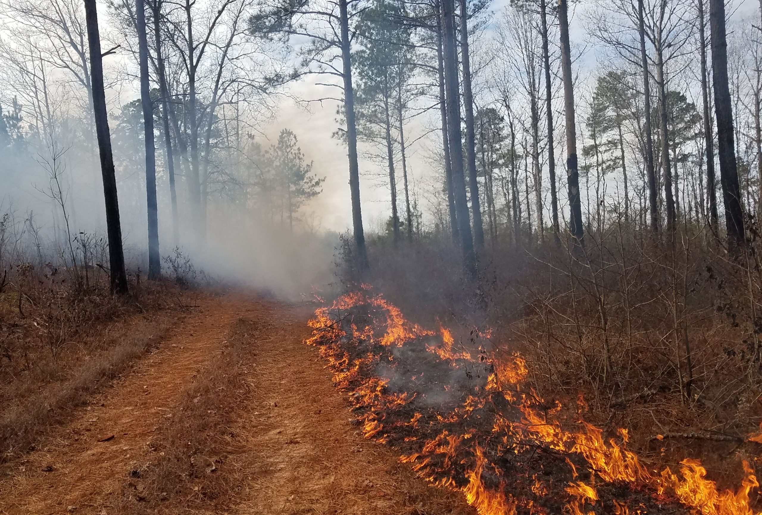 2020 Brodnax fire – World-Wide Matel