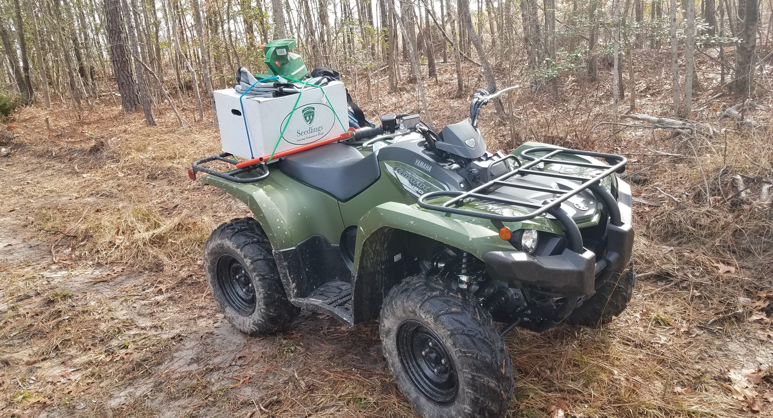 Planting more trees and my new ATV – World-Wide Matel