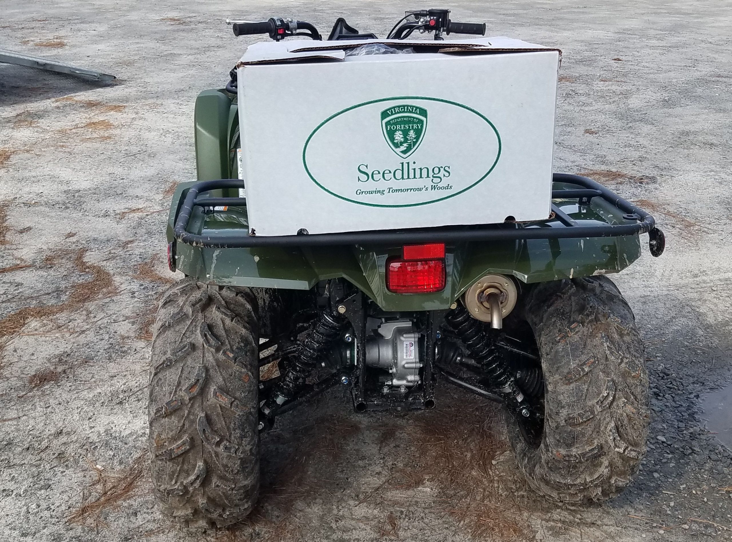 Planting more trees and my new ATV – World-Wide Matel