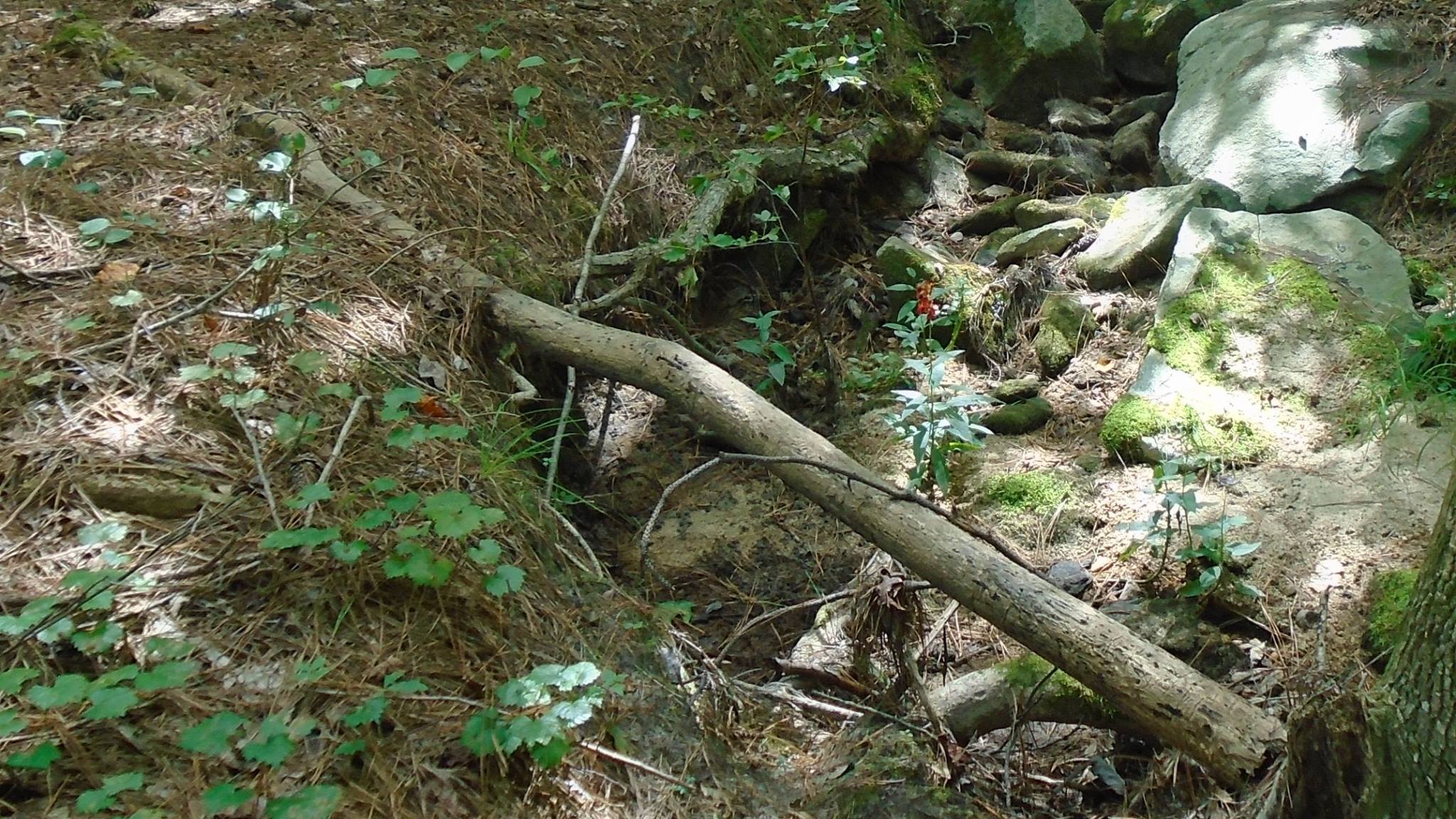 Stream management zones – World-Wide Matel