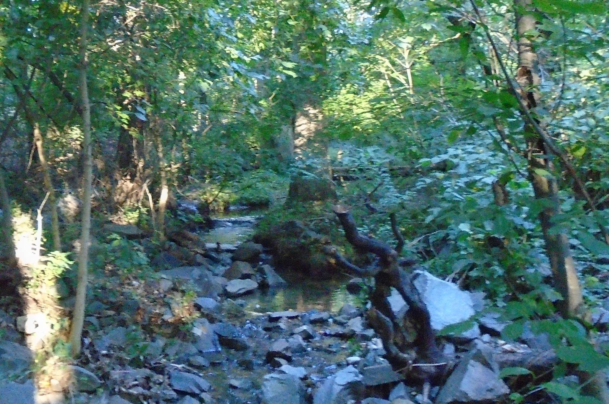 Stream management zones – World-Wide Matel