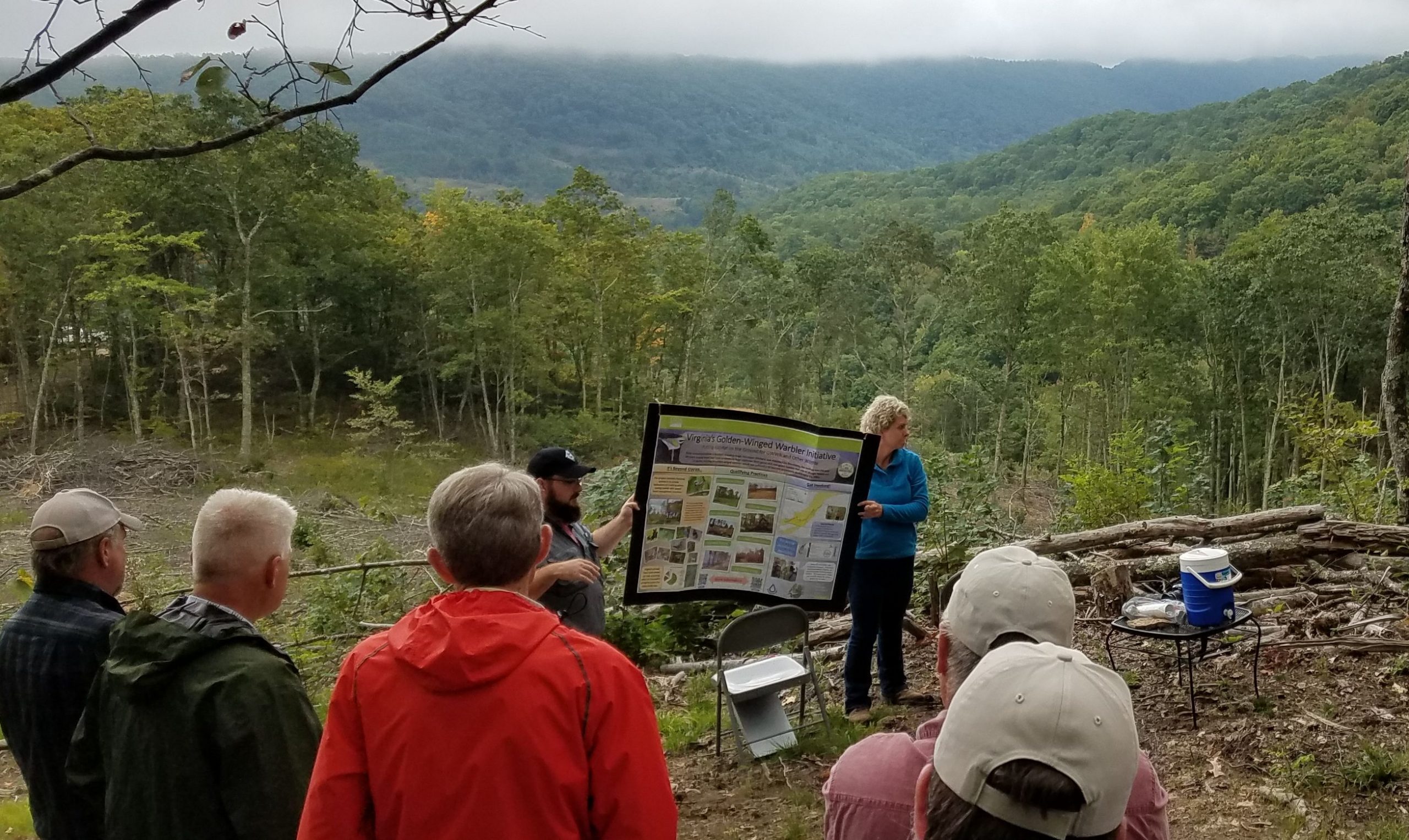 Tree farming in Highland County, Virginia – World-Wide Matel